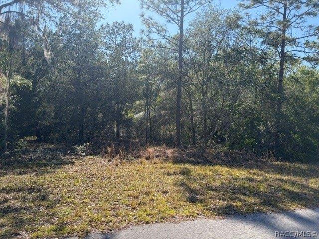 6162 W Bovio Ct, Dunnellon, FL 34433