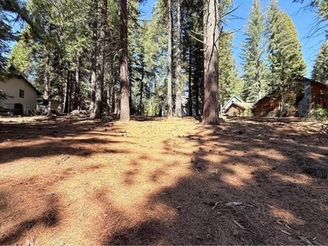 616 Deep Forest Trl, Lake Almanor, CA 96137
