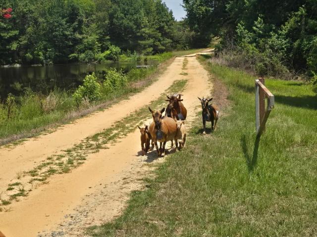 616 Trail End Lane