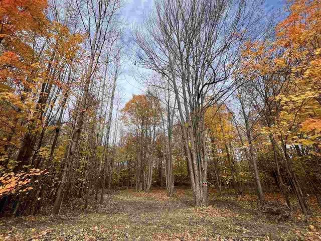 6170 Lambert Dr, Alanson, MI 49706
