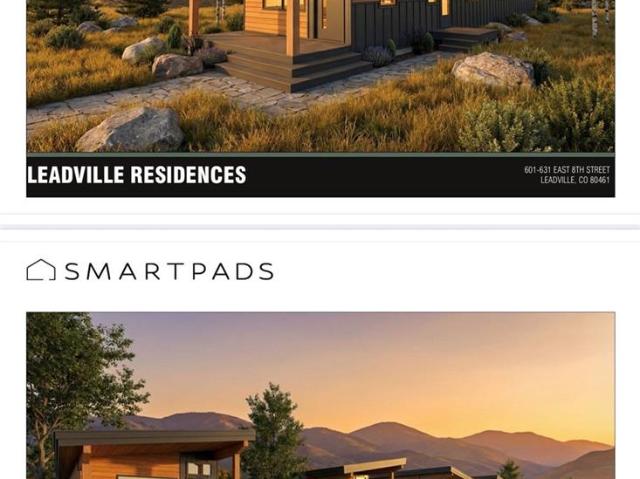 617 E 8th St, Leadville, CO 80461 | MLS #5566 | Compass