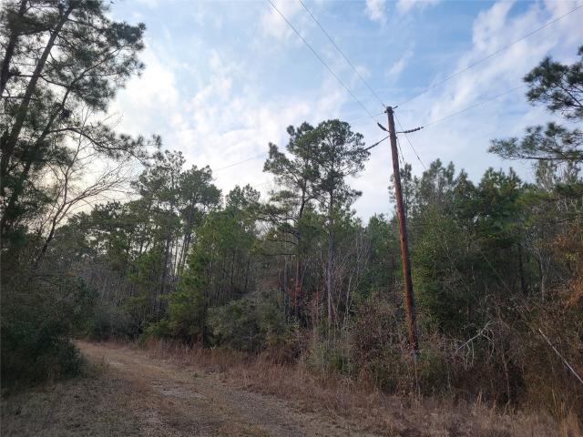 617 John Wesley Hardin Drive