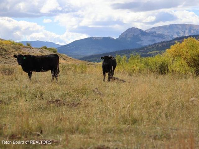 618 N Cottonwood Rd, Daniel, WY 83115
