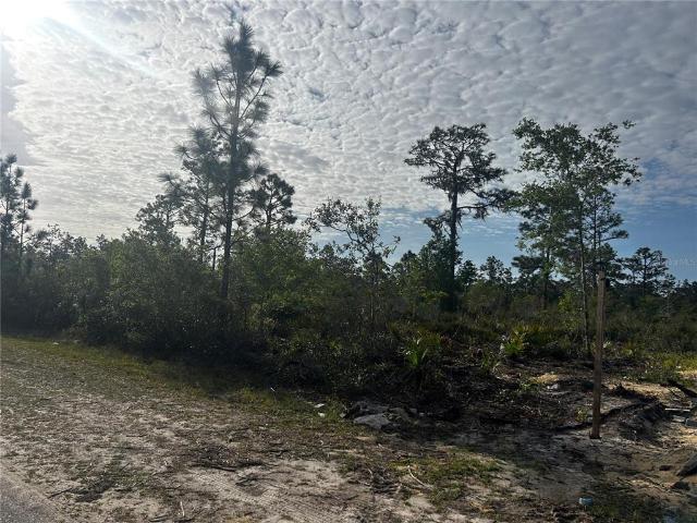 618 Poinciana Dr, Lake Wales, FL 33898 | MLS #P4938 | Compass