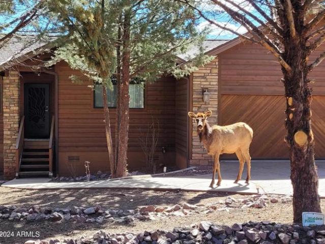 6195 W Hidden Pines Loop, Pine, AZ 85544