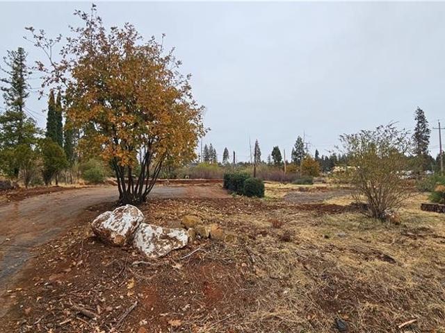 6197 Ponderosa