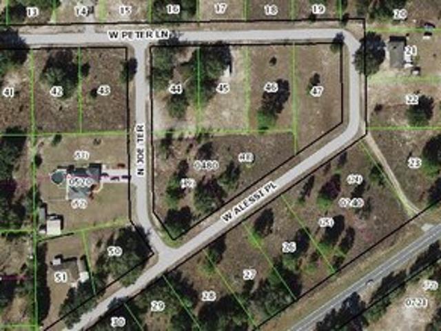 6198 W Peter Ln, Dunnellon, FL 34433