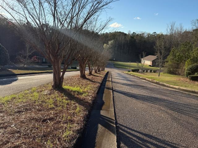 619 629 Ivy Ct, Lanett, AL 36863 | MLS #10706 | Compass