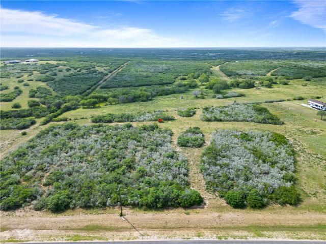 619 County Road 369