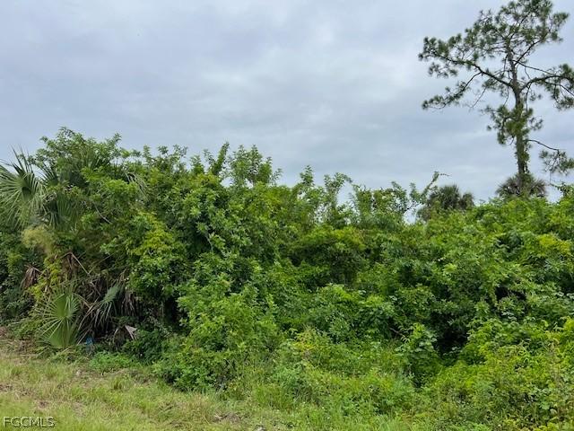 619 Clancy St E, Lehigh Acres, FL 33974 | MLS #2026007 | Compass