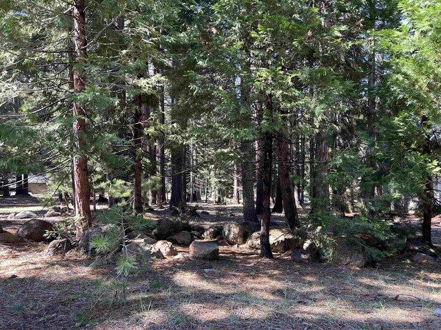 619 Clifford Trl, Lake Almanor, CA 96137
