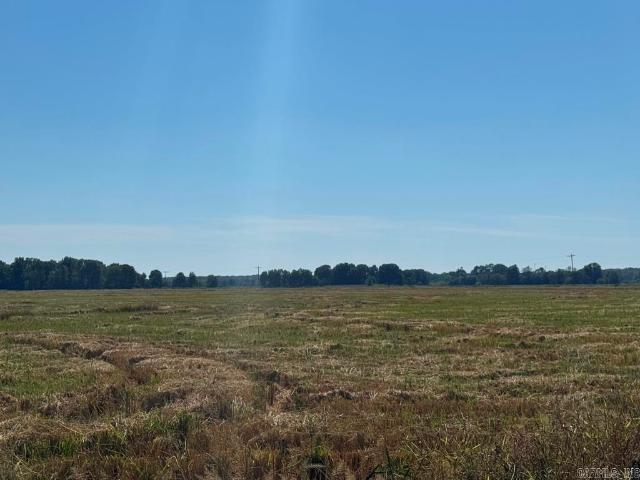 619 acres Flag Slough Lane