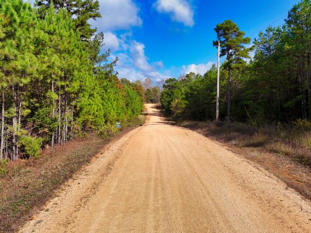 619 Bridge View Cv