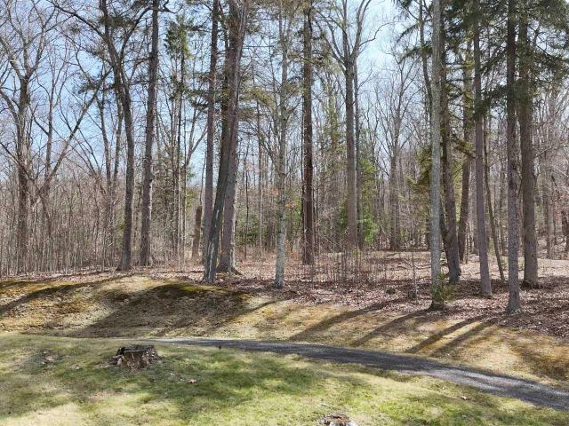 61 & 62 old course trail