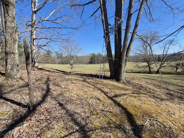 61 Teludachee Trl, South Pittsburg, TN 37380