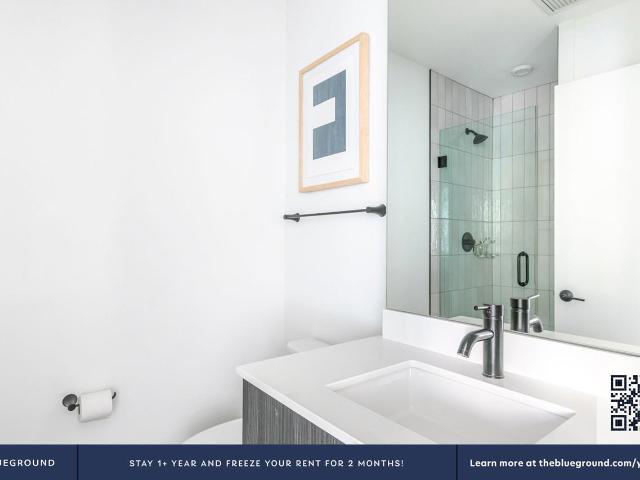 61 West Erie Street Studio Apartment for Rent at 61 W Erie St #1396, Chicago, IL 60654 Near North Side