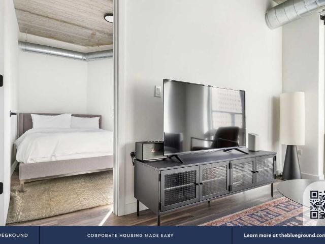 61 West Erie Street 1 Bedroom Apartment for Rent at 61 W Erie St #1414, Chicago, IL 60654 Near North Side