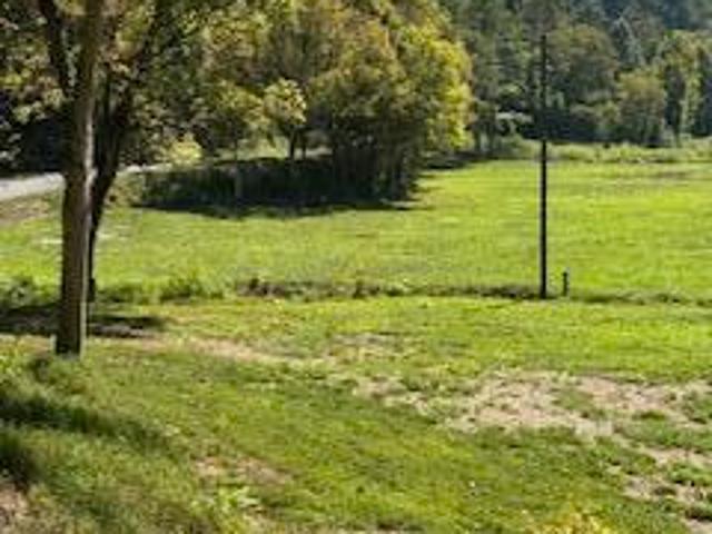 61 Acres Chestnut Valley Road