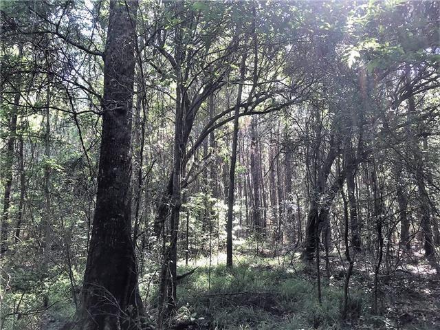 61 Acres Stein Road