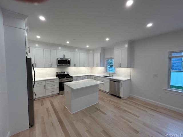 61 Adelphi Avenue