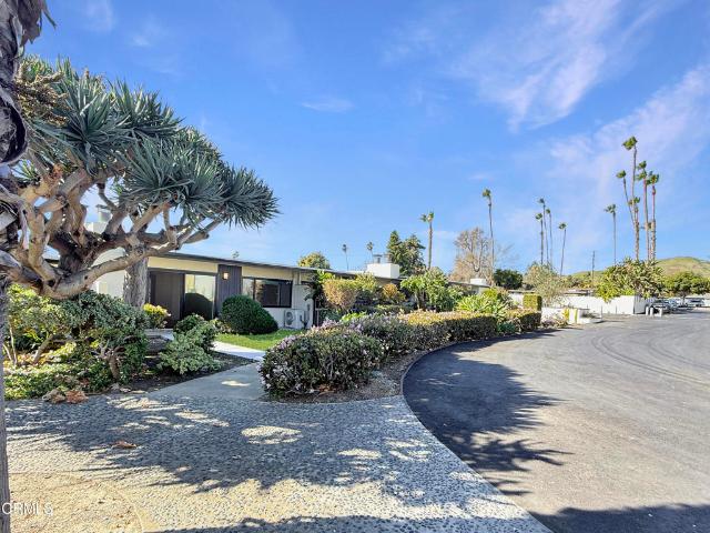 61 B Redwood Avenue
