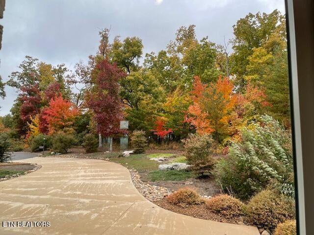 61 Bluff View Ct, Crossville, TN