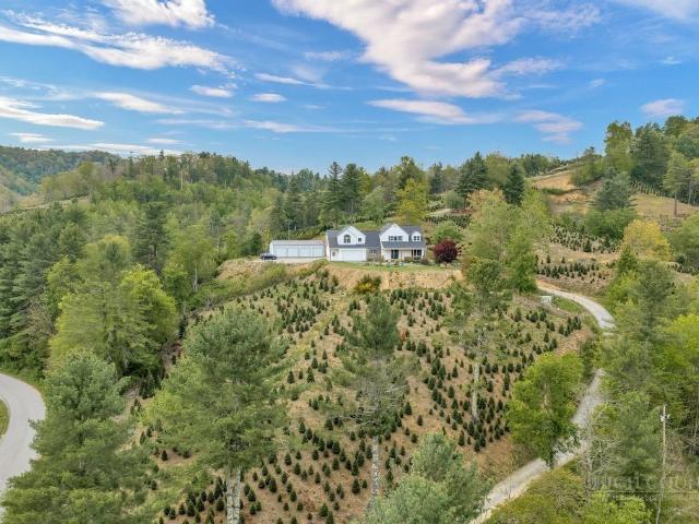 61 Honky Hollow Lane