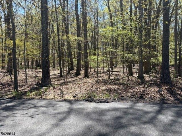 61 Quenby Mountain Rd, Liberty Township, NJ 07838