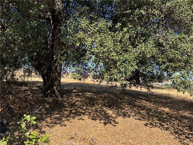 61 Redwood, Calimesa, CA 92320