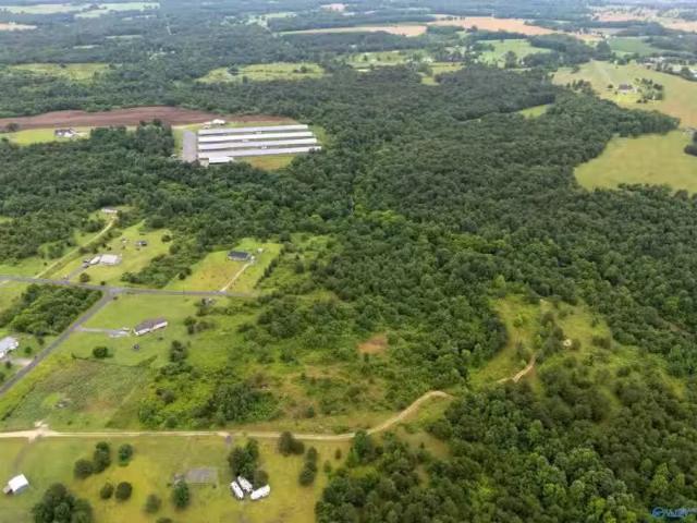 61 ROAD 1957, RAINSVILLE, AL 35986