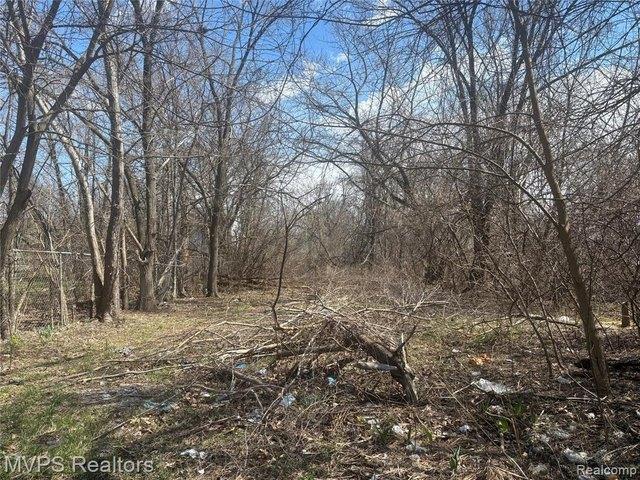 61 S Paddock St, Pontiac, MI 48342