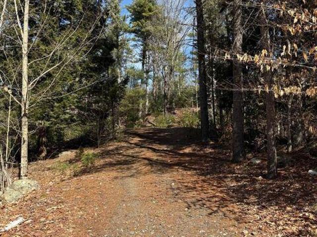 61 Snowshoe Ridge, Chestertown, NY 12817 | MLS #202517 | Compass