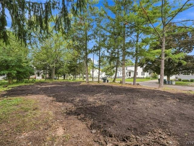61 Stanton St, Williamsville, NY 14221