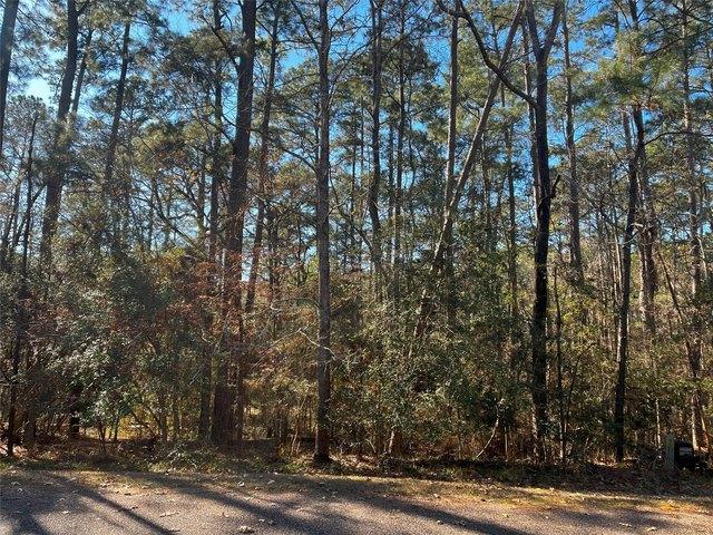 61 Sunny Hill Dr, Coldspring, TX 77331
