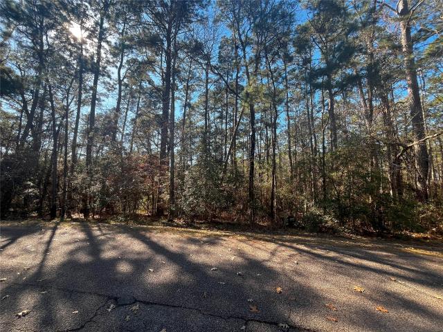 61 Sunny Hill Dr, Coldspring, TX 77331 | MLS #29135 | Compass
