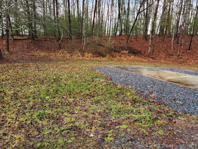 6205 Blue Ridge Dr, Blue Ridge, GA 30513 | MLS #417941