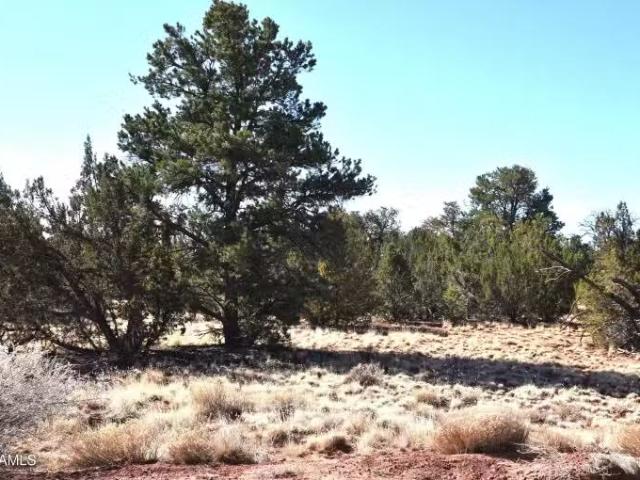6206 Lasso Loop, Williams, AZ 86046 MLS 199703