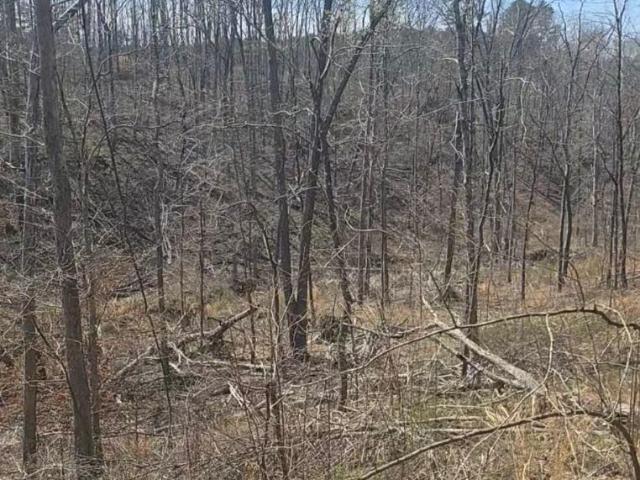 6208 Co Rd 8