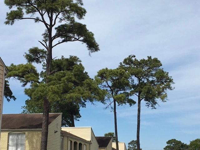 6200 W Tidwell Rd, Unit 2102, Houston, TX 77092 | MLS #43696