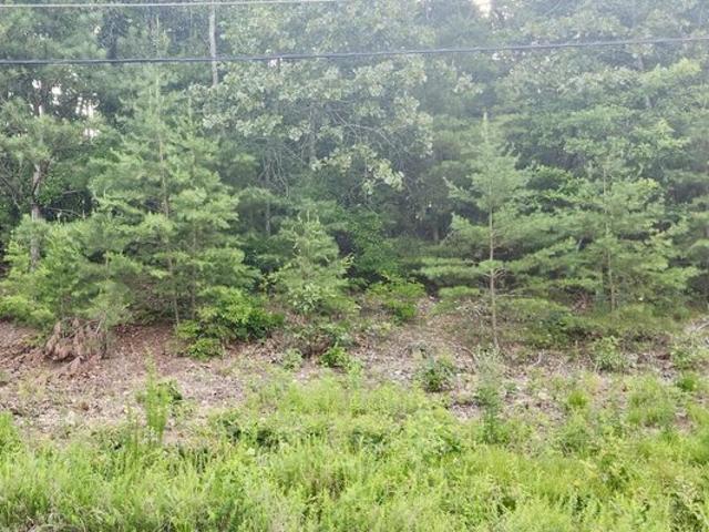 6201 Hidden Hill Rd, Harrison, TN 37341