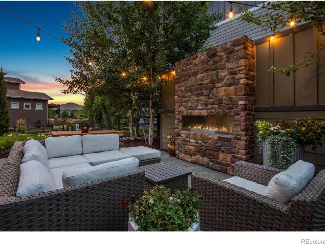 6203 Swainsons Hawk Place