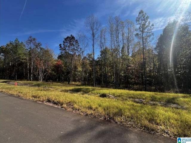 620 Horseshoe Trl Lot 2, Helena, AL 35022