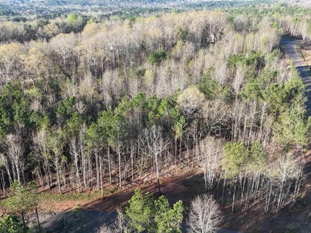 620 Horseshoe Trl Lot 2, Helena, AL 35022