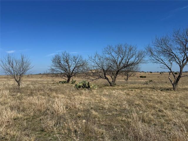 620 Hamilton, TX 76531 | MLS #21214 | Compass