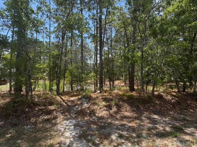 620 Mohawk Road # 62