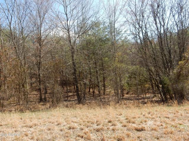 620 Robert Burden Rd