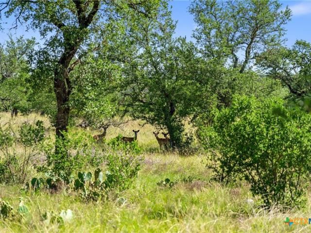620 Rio Vista Road