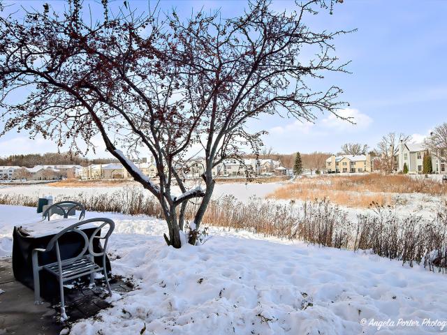 620 W Byu, Fox Lake, IL 60020 | MLS #12624 | Compass
