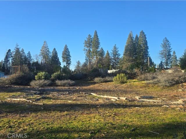6214 Brevard Circle