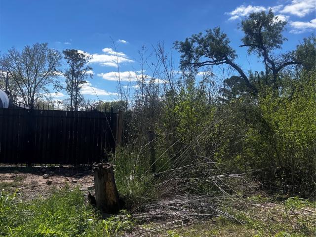 6214 Grosbeak Dr, Houston, TX 77048 | MLS #17099